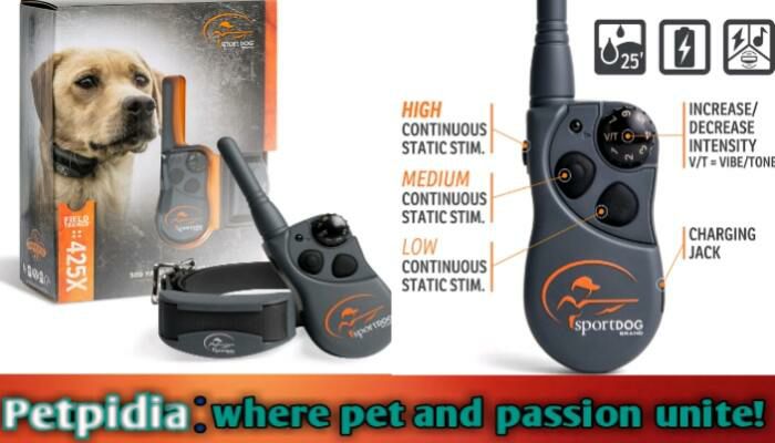 Sportdog Shock Collar Buttons | Mastering Training Commands