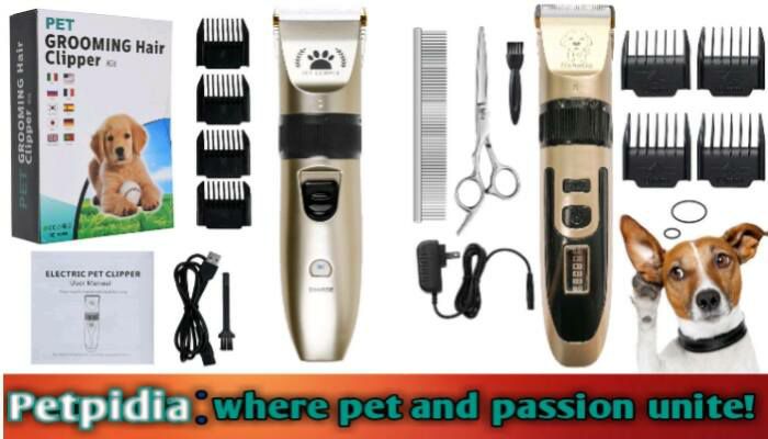 Top 5 Blades For Efficient And Safe Dog Grooming