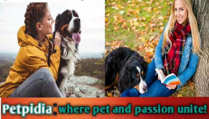100 Reasons Why Dogs Are The Best Pets