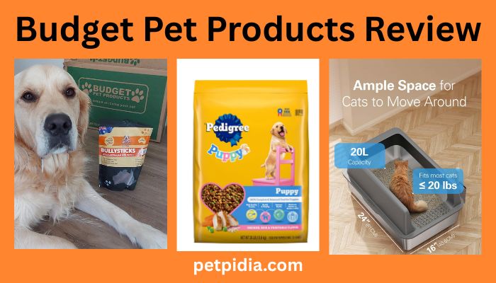 Top Budget Pet Products Review 2025