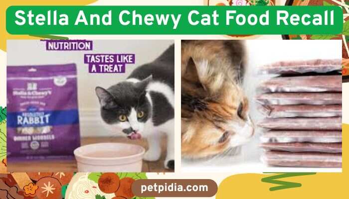 Stella And Chewy Cat Food Recall 2025
