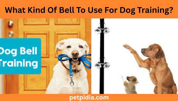 What Kind Of Bell To Use For Dog Training? | Best Guide 2025